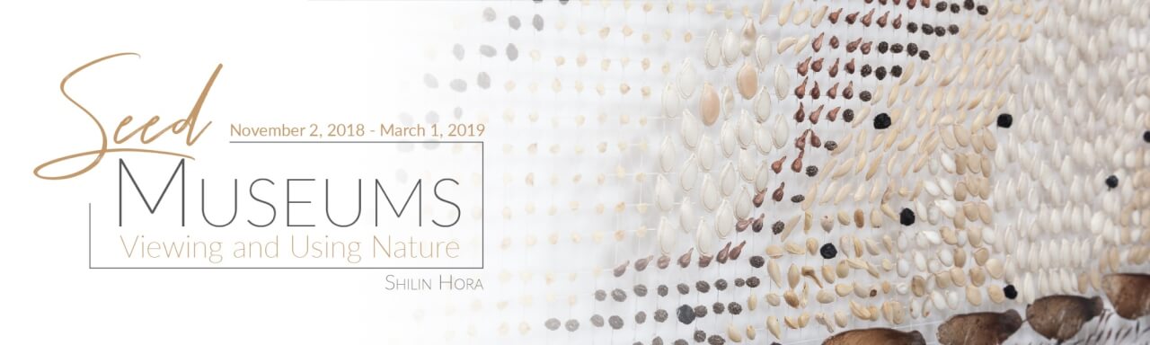 Seed Museums: Viewing and Using Nature - Art Museum - Grand Valley ...